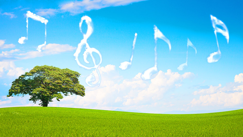 Performances – McLean Center